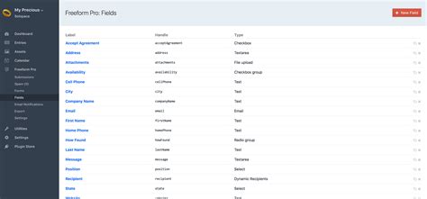 Fields And Field Types Forms And Fields Freeform 2 X For Craft Solspace