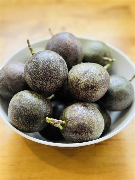 Passionfruit Flamenco Arbour Grove Nursery