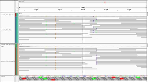 Integrative Genomics Viewer Igv Visualization Of Alignments In