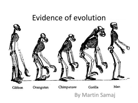 Proof Of Evolution Facts