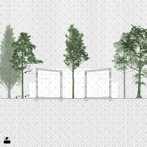 Flat Vector Tree Elevations Toffu Co