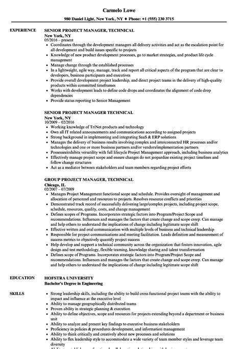 Technical Project Manager Resume Sample