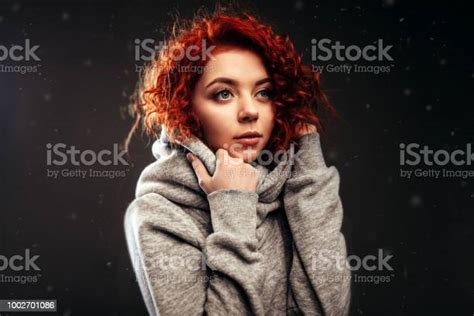 파란 눈을 가진 젊은 귀여운 빨간 머리 여자 초상화 회색 까마귀를 가까이에서 자신을 포장 십대 소녀에 대한 스톡 사진 및 기타 이미지 십대 소녀 편안한 후드티