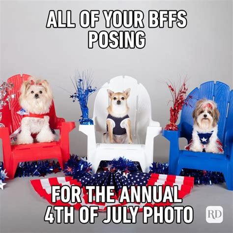 Best 13 44 Funny 4th Of July Memes To Celebrate Independence Day Artofit