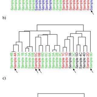 Unsupervised Hierarchical Clustering Unsupervised Hierarchical
