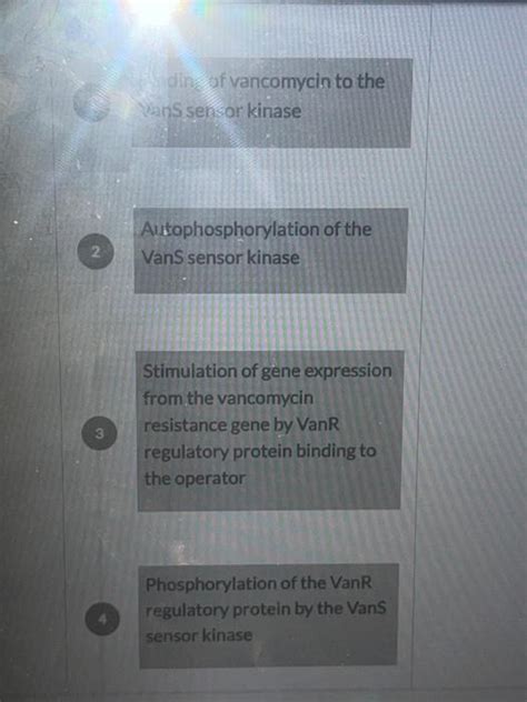 Solved In The Bacterium Enterococcus Faecium Indicate The