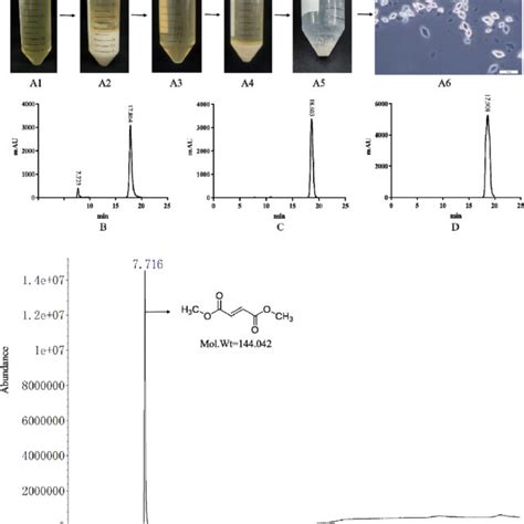 Recrystallization A1 A6 Purification And Analysis Of Fermentation