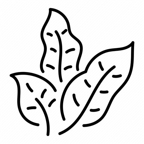 Cocoa Leaf Chocolate Cacao Plant Icon Download On Iconfinder