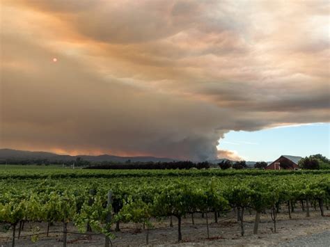 All Walbridge Fire Evacuations Lifted Healdsburg Ca Patch