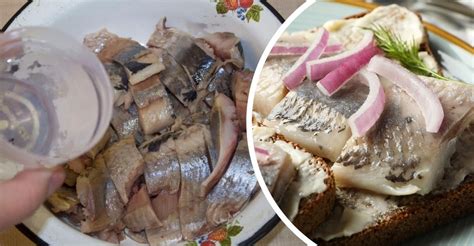 მარინადი ქაშაყისთვის 3 საუკეთესო რეცეპტი უკრაინელი შეფმზარეულისგან რჩევები ვივიენისგან