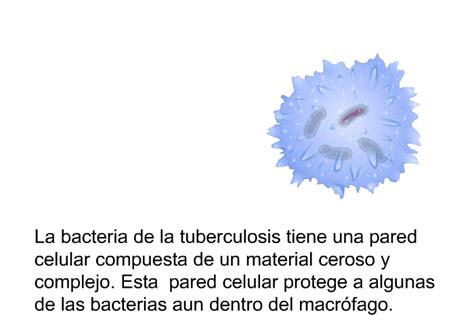 Tuberculosis Pediatría