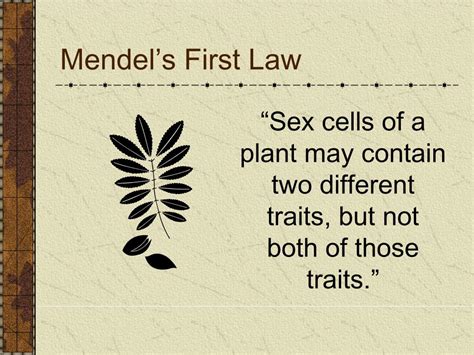 PPT Gregor Mendel PowerPoint Presentation Free Download ID 475787