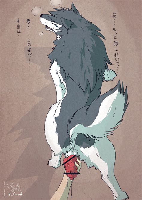 Rule 34 2012 Animal Genitalia Anus Ass B Curd Canine Canine Penis