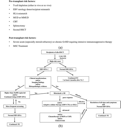 A Risk Factors For Ebv Ptld After Hsct Listed In Ecil 6 Guidelines