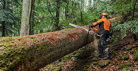 Introducing The New Ms Magnum Chainsaw Stihl Blog