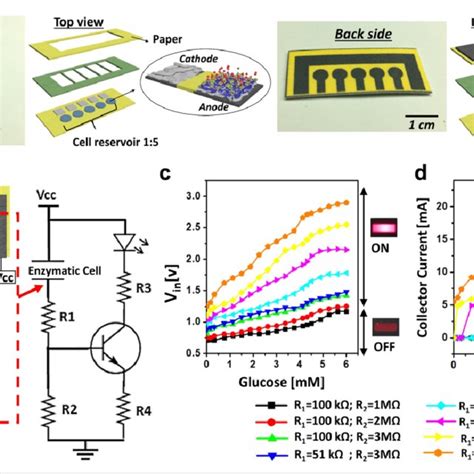 A Schematic Diagram Of OECT Based Glucose Sensor Integrated With Download Scientific Diagram