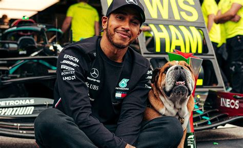 F1 Hamilton Se Emociona Com Homenagem A Roscoe No Gp Do México