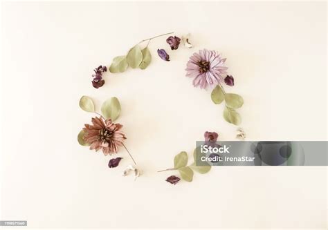 드라이 플라워 화환 배경입니다 흰색 배경에 말린 꽃과 유칼립투스 잎 패턴에서 조성물 꽃 카드입니다 상단보기 평평한 누워 공간을