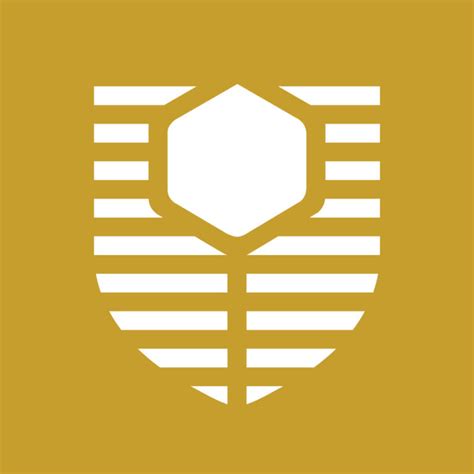 Management Of Frequent Monomorphic Ventricular Ectopic Beats Medical