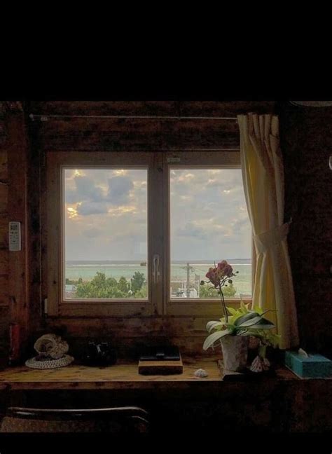 19 گل Ideas Book Flowers Flower Wallpaper Beautiful Flowers