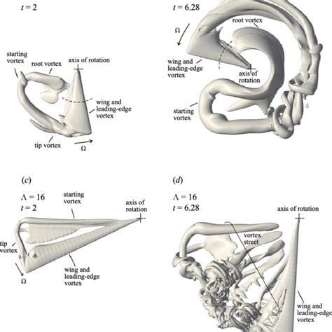 Pdf Leading Edge Vortex Shedding From Rotating Wings