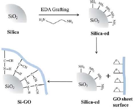 Scheme 3 Schematic Diagram Of The Synthetic Route Of Go Coated Silica Download Scientific