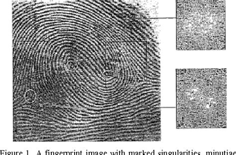 Figure 1 From Fingerprint Enhancement By Directional Filtering Semantic Scholar