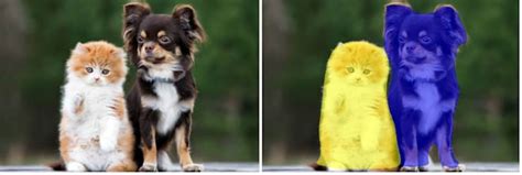 Do Object Detection And Segmentation With Python By Omeryentur Fiverr