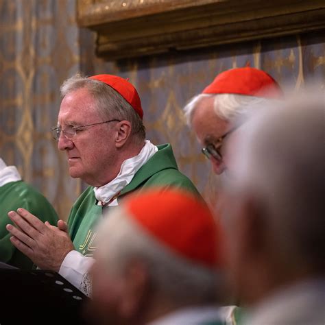 Interview With Cardinal Roche Catholic Bishops Conference