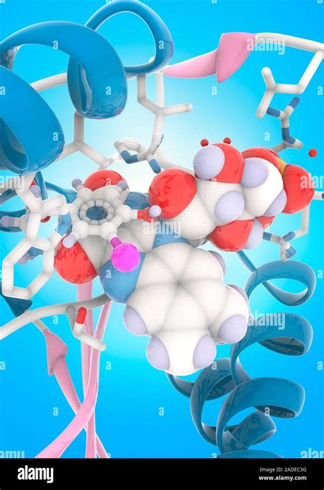Illustration Of The Active Site Of Iodothyronine Deiodinase Enzyme