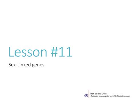 Lesson 11 Sex Linked Genes Pdf Reproductive Health Diseases And Conditions