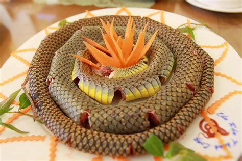 Snake Meals A Complete Information To Feeding Your Reptile Hatchet Snake Meals A Complete Information To Feeding Your Reptile Hatchet