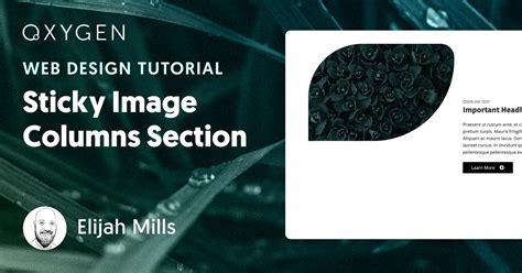 How To Make A Sticky Image Columns Section In WordPress Oxygen