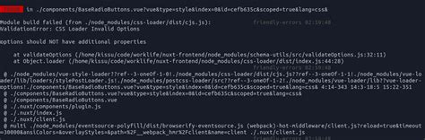 Validationerror Css Loader Invalid Options Options Should Not Have