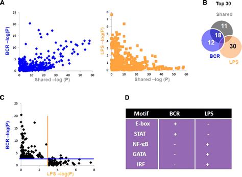 Tf Motif Enrichment At The Promoter Regions Tf Motif Enrichment In