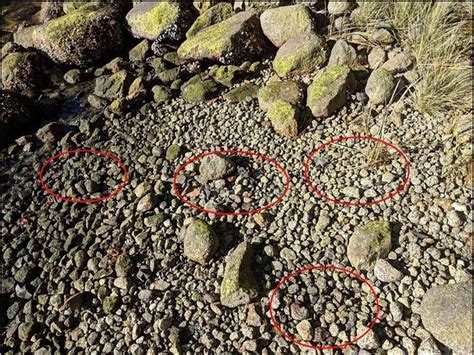 Lithic Scatter Is A Surface Scatter In Situ Archaeology Facebook