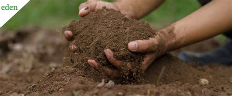 Controlling Soil Compaction In Landscape Design An Experts Guide