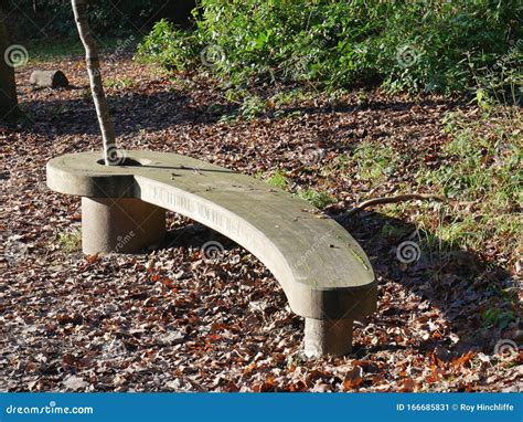 Wooden Curved Structure Building With Modern Architectural Design Editorial Photo