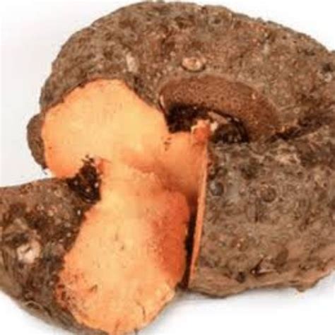 Jual Umbi Suwek Suweg Fres Bunga Bangkai Ada Pesanan Baru Diambilkan 1