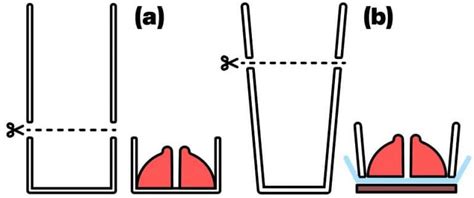 How To Make A Fleshlight Other Homemade Sex Toys For Men Tabooless