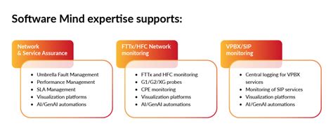 Service Assurance For Telecom Software Mind