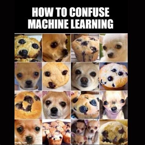 Data Scientist Day Ml Ai Deep Learning Shivansh Ahirwal Posted On