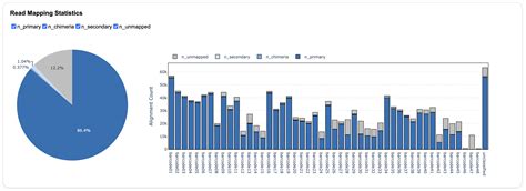 Understanding The Dashboard Nomadic