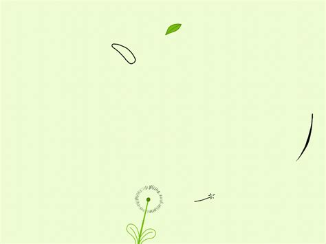 Experimental Animation Cycles By Lyndsay On Dribbble