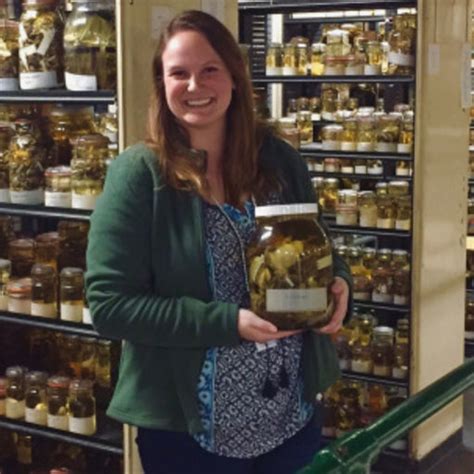 Kaylin Martin Carnegie Museum Of Natural History Pa Section Of