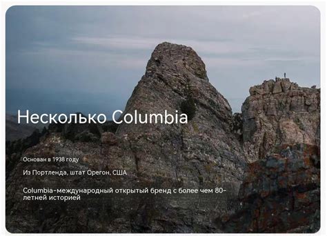Жилет Columbia Columbia купить на OZON по низкой цене (1670004386)
