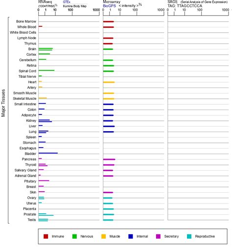 Tacr3 Gene Genecards Nk3r Protein Nk3r Antibody