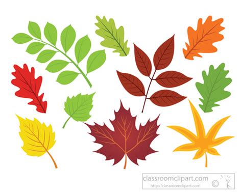 Different Types Of Fall Protection