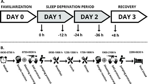 Overview Of The Study Protocol A Schedule For Days 0 3 Of The Study