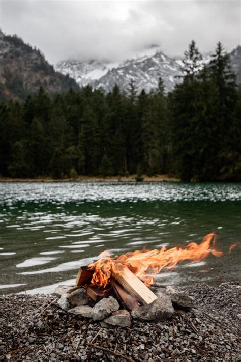 Forest Fire Mitigation Photos Download The Best Free Forest Fire